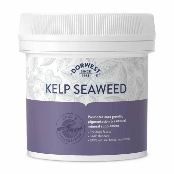 Dorwest Kelp Seaweed Powder for dogs and cats. Delivered by Healthful Pets.