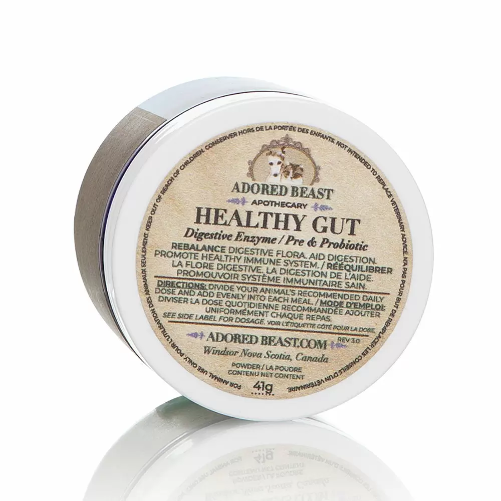 Adored Beast - Which Probiotic is right for your dog?