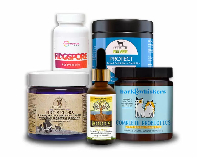 Which probiotics are best for your pets?