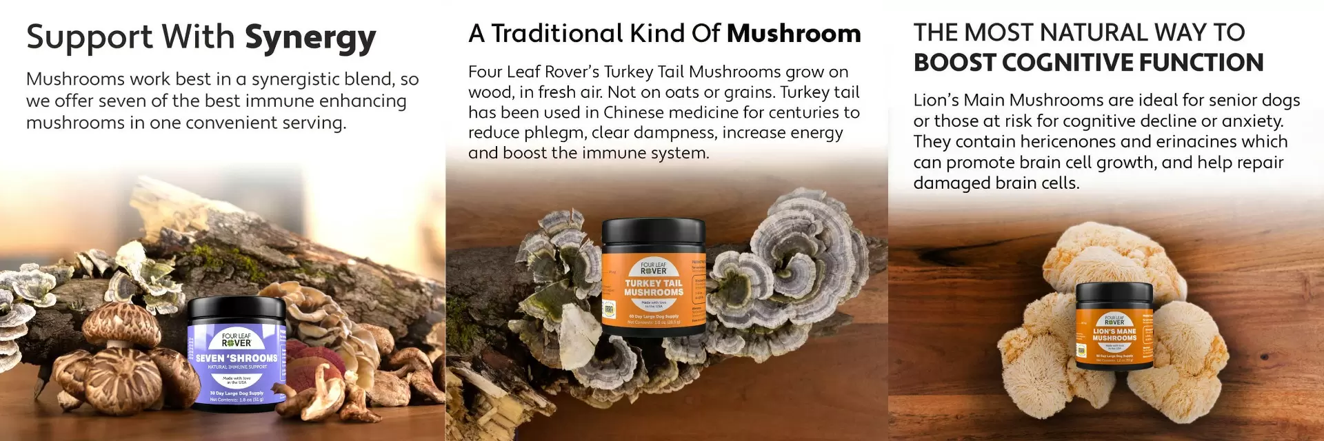 The Benefits of Mushroom supplements for your pets