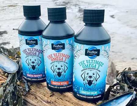 An Holistic Approach To Musculoskeletal Health In Dogs Using Proflax