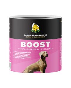 Healthful Pets New Arrivals