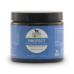 Four Leaf Rover- Which Probiotic is right for my dog?