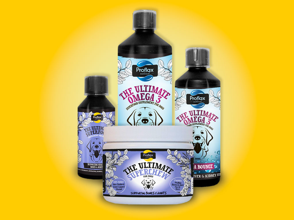 An Holistic Approach To Musculoskeletal Health In Dogs Using Proflax