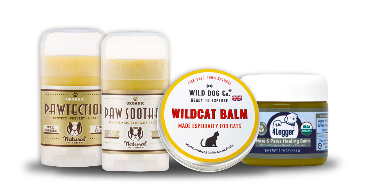 Essential Pet Paw Care Tips for the Winter Months